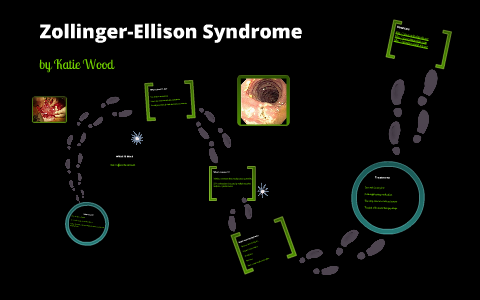 Zollinger-Ellison Syndrome by katie wood on Prezi