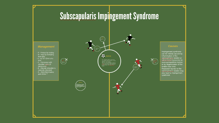 Subscapularis Impingement Syndrome by Ashley Waite on Prezi