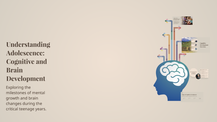Understanding Adolescence: Cognitive and Brain Development by Jianna ...