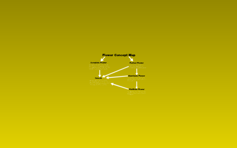 Flower Concept Map by Tanner Porter on Prezi