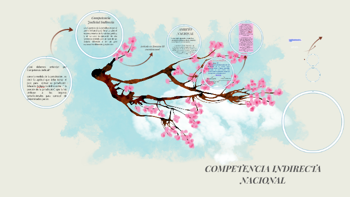 COMPETENCIA INDIRECTA NACIONAL by Rosita Castillo on Prezi