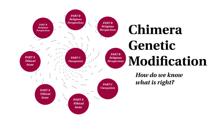 Chimera Genetic Modification - Ethics by Lucy Eade on Prezi