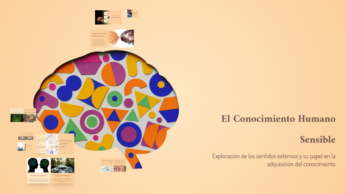 El Conocimiento Humano Sensible by David Lopez on Prezi