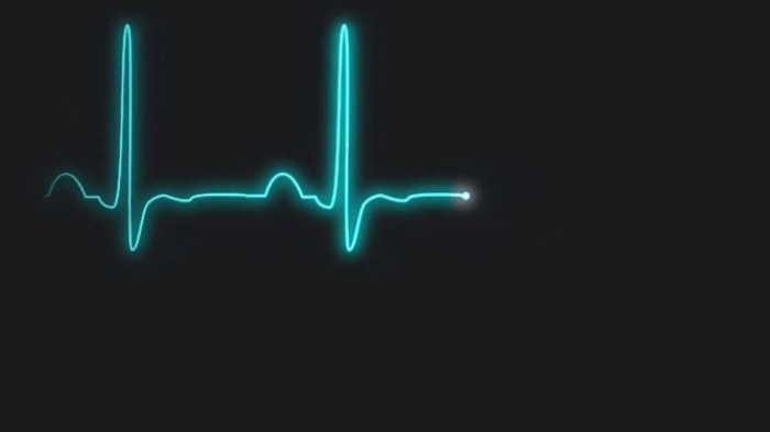 INVESTIGAÇÃO SOBRE A CONTRIBUIÇÃO DO SNAP® FELINE ProBNP TEST COMO ...