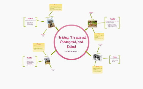 Thriving, Threatened, Endangered, and Extinct by Kristina Phillips on Prezi