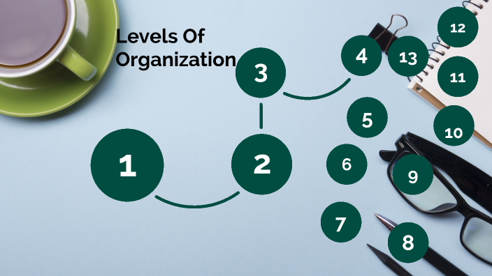 Levels Of Organization by Agustin Hernandez on Prezi
