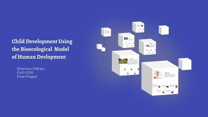 Child Development Using the Bioecological Model of Human Devlopment by ...