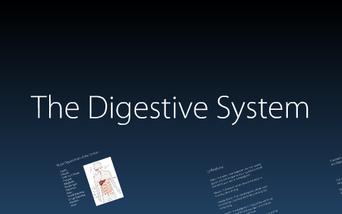 Battle of the Body Systems: Digestive System by Clara Behrman on Prezi
