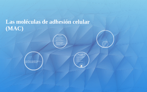 Las moléculas de adhesión celular (MAC) by on Prezi