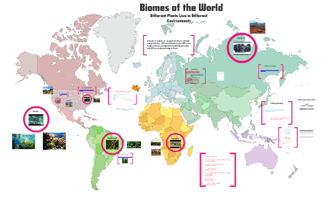 How Plants Live in Different Environments by Sarah Soden on Prezi