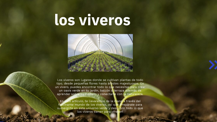 los viveros by Geraldine Tello Vasquez on Prezi