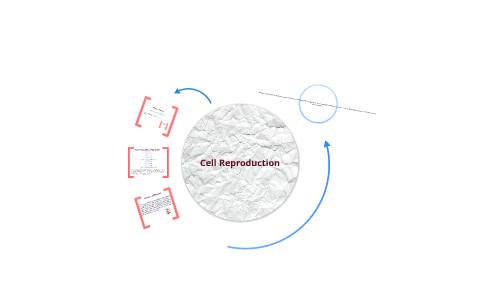 Cell Reproduction--Mitosis & Meiosis by Shonta Jones on Prezi