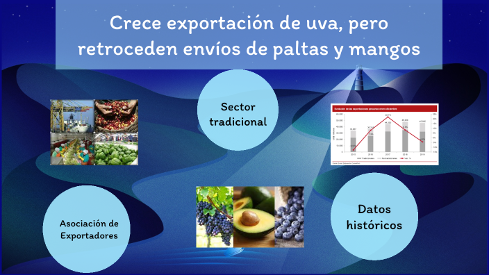 Crece exportación de uva, pero retroceden envíos de paltas y mangos by ...