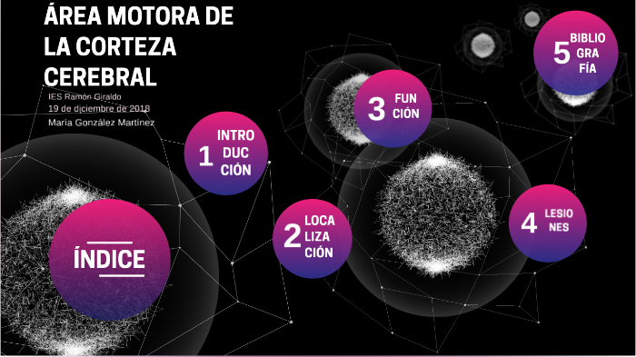 ÁREA MOTORA DE LA CORTEZA CEREBRAL by María González Martínez on Prezi