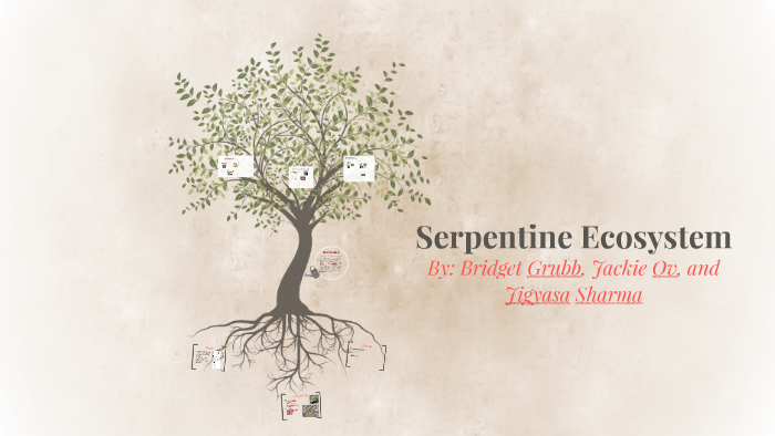 Serpentine Ecosystem by Jigyasa Sharma on Prezi