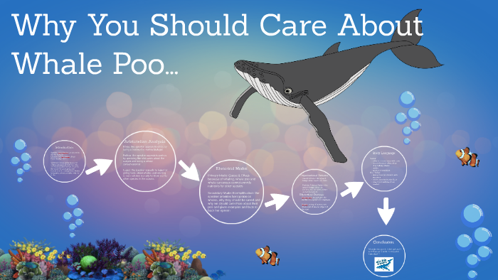 Why You Should Care About Whale Poo... by Kody DeStefano on Prezi