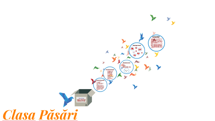 Clasa Păsări by Augustina Condrea on Prezi