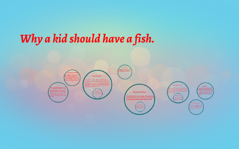 Why a kid should have fish. by Carly Sprague on Prezi