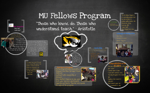 MU Fellows Program by