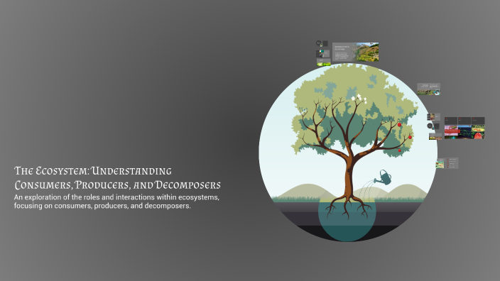 The Ecosystem: Understanding Consumers, Producers, and Decomposers by ...