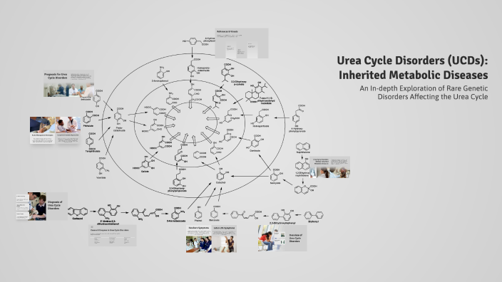 Urea Cycle Disorders (UCDs): Inherited Metabolic Diseases by Aniyah ...
