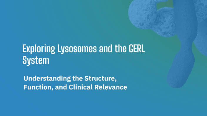 Exploring Lysosomes and the GERL System by heena prajapati on Prezi