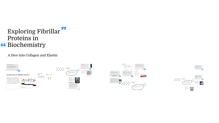 Exploring Fibrillar Proteins in Biochemistry by Unable Shay on Prezi