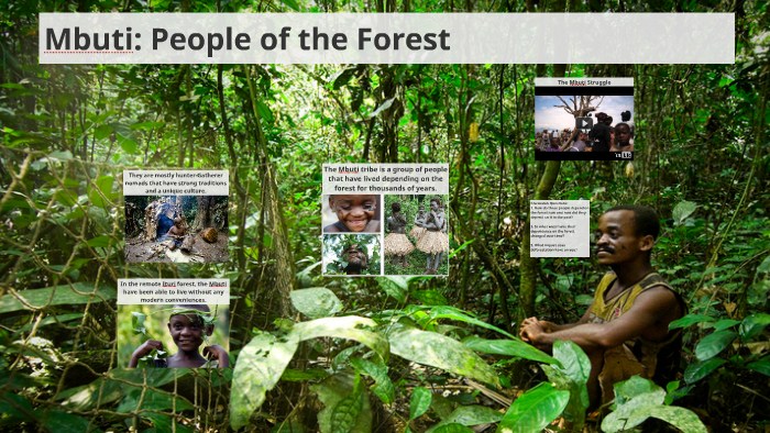 Mbuti: People of the Forest by Lidia Garcia on Prezi