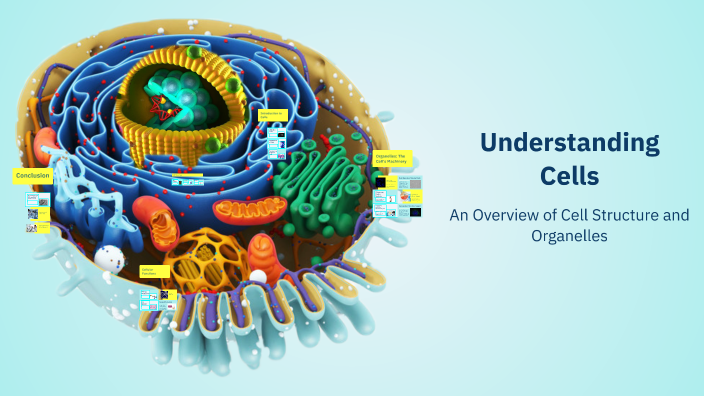 Understanding Cells by Даврон Хочи on Prezi