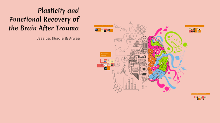Plasticity and Functional Recovery of the Brain After Trauma by jess 2. ...