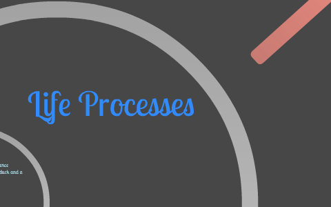 The Life Processes of Living Things by David Susek on Prezi