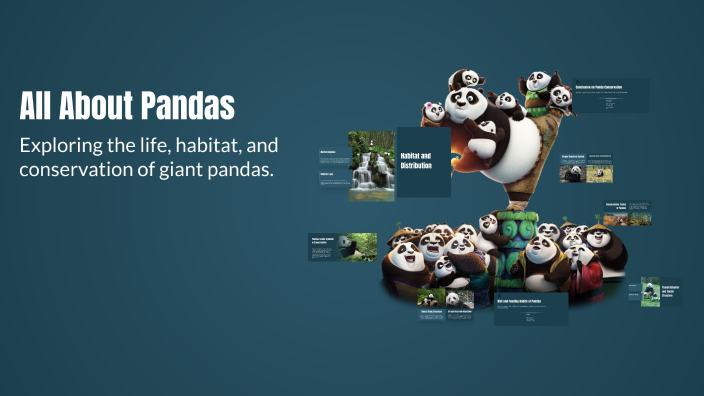 All About Pandas by Кристина Дундукова on Prezi