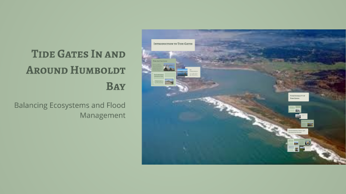 Tide Gates In and Around Humboldt Bay by Rolland McClurg on Prezi