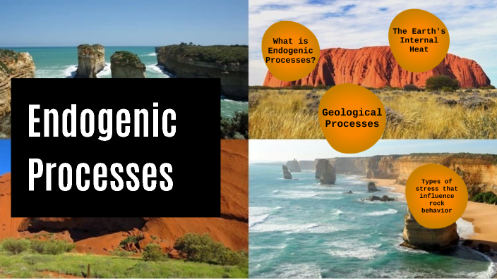 Endogenic Processes by Elle Rumi on Prezi