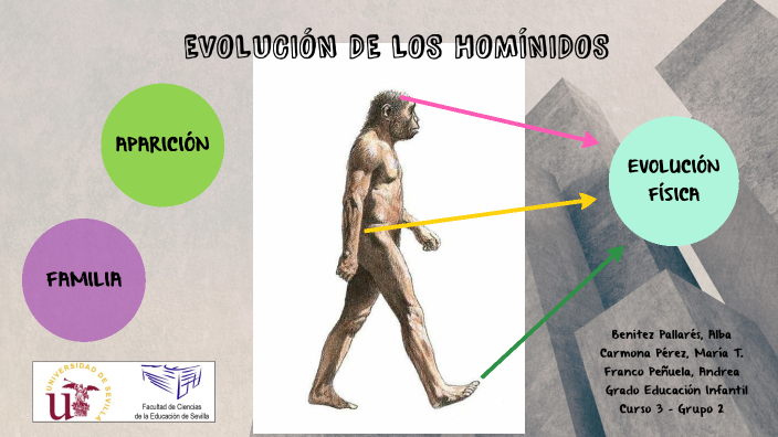 Evolución de los Homínidos by María Carmona Pérez on Prezi