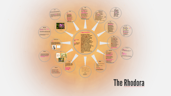 The Rhodora by Sam Bauer on Prezi