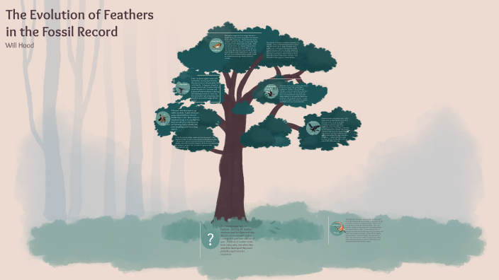 Feathered Family Tree by Will Hood on Prezi