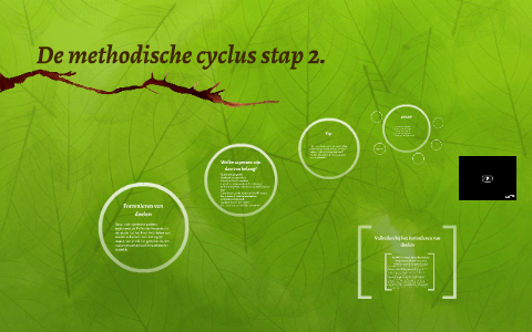 De methodische cyclus stap 2. by heidi kasper on Prezi