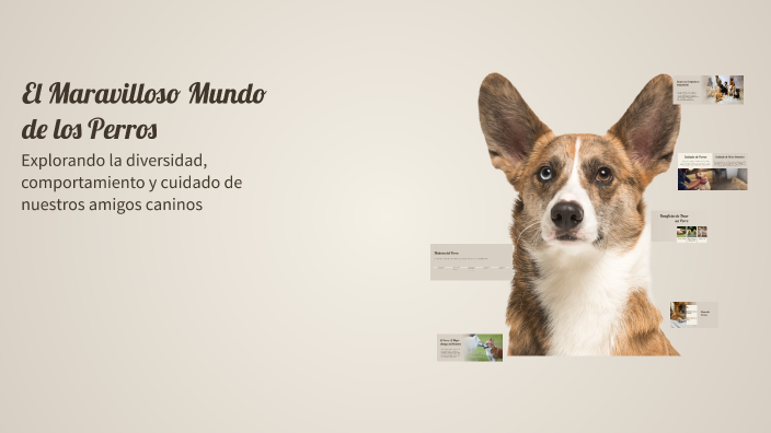 El Maravilloso Mundo de los Perros by María Juliana Aucancela Naula on ...