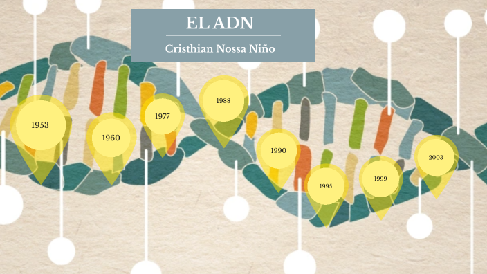 Proceso y Replicación del ADN by Camila Loza on Prezi