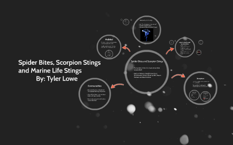 Spider Bites, Scorpion stings and Marine life Stings by Tyler Lowe