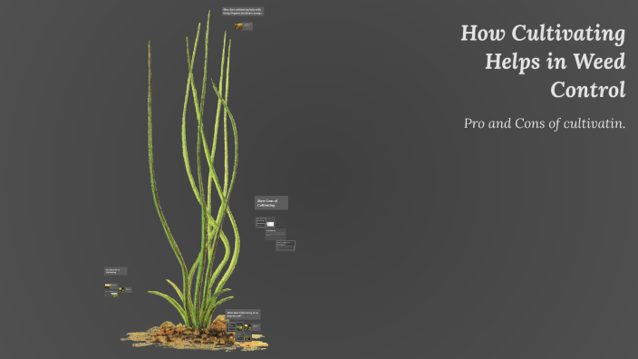 How Cultivating Helps in Weed Control by RUE RUNNING on Prezi