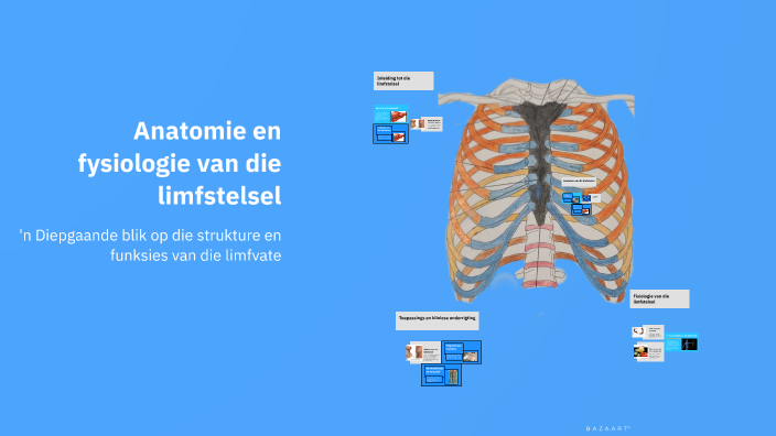 Anatomie en fysiologie van die limfstelsel by fatima el mohammadi on Prezi
