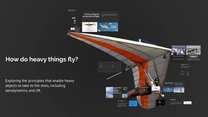 The Physics of Flight: How Heavy Objects Defy Gravity by Abrin Thomas ...
