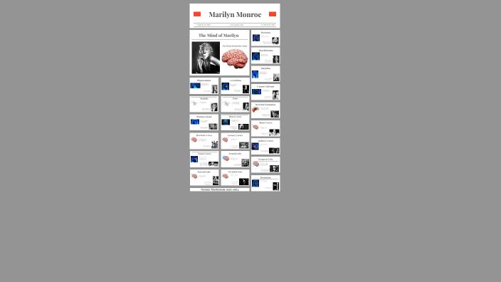 Celebrity Brain Project - AP by Audrey Pike on Prezi