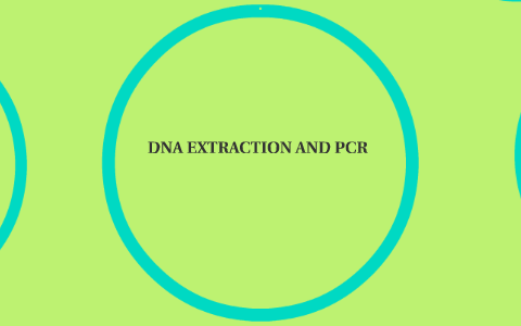 DNA Extraction by Carly Arias on Prezi