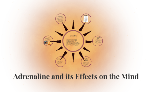 Adrenaline and its Effects on the Mind by Dylan Silvey on Prezi