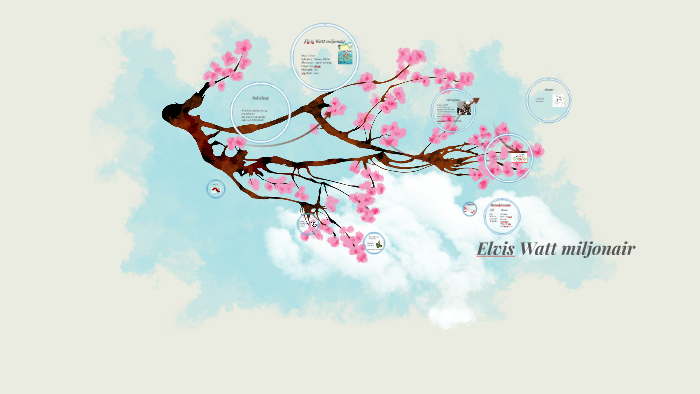 Elvis Watt miljonair by Nina Huisers