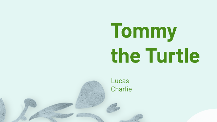 Tommy the Turtle by Lucas Chen on Prezi