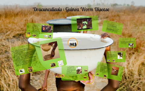 Dracunculiasis : Guinea Worm Disease by Amanda Peiris on Prezi